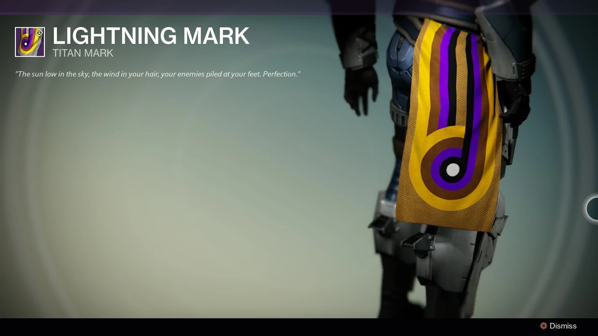 Lightning Mark | Destiny Wiki | Fandom