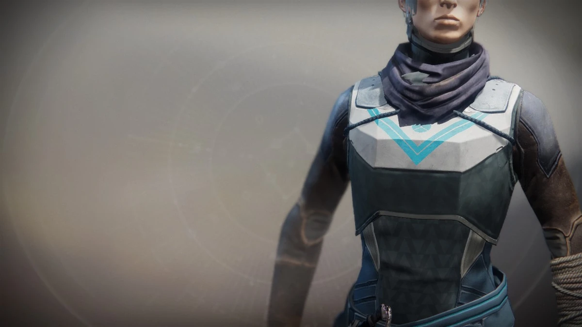 Frumious Vest | Destiny Wiki | Fandom