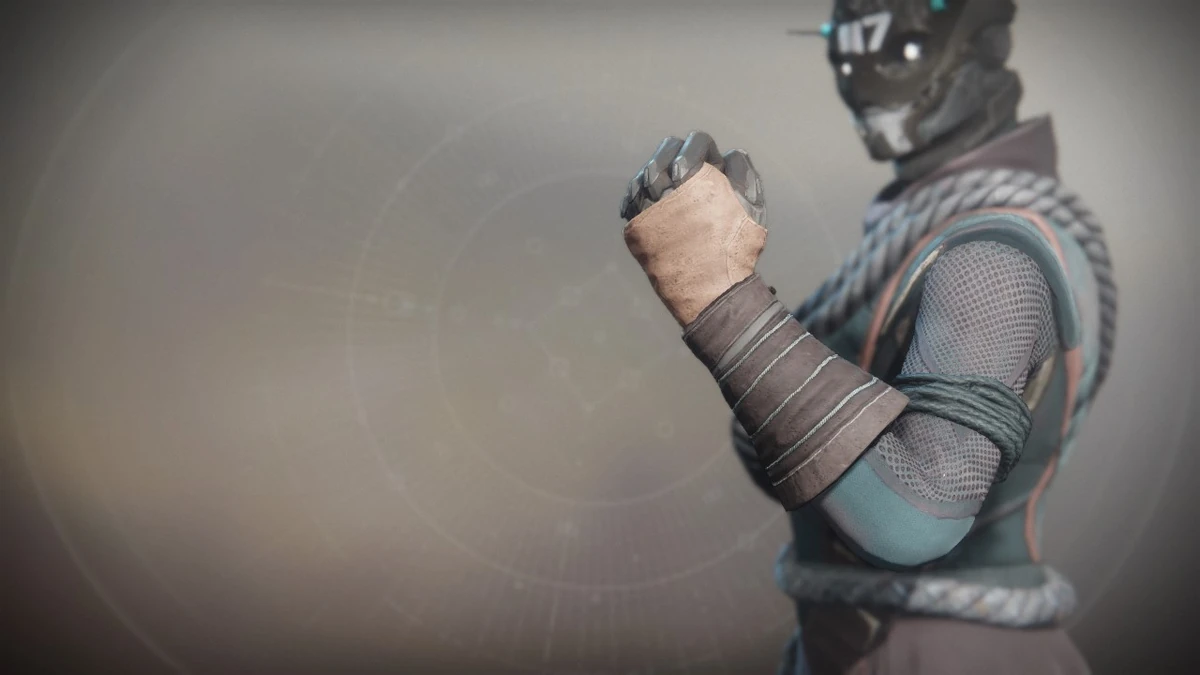 Vector Home (Gauntlets) | Destiny Wiki | Fandom