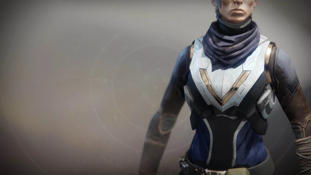 Omega Mechanos Vest | Destiny Wiki | Fandom