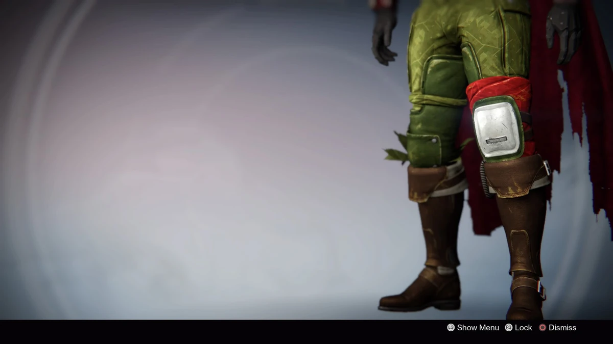 Bog Wild 1.0 (Leg Armor) | Destiny Wiki | Fandom