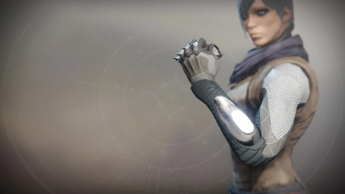 Daring Hunter Grips | Destiny Wiki | Fandom