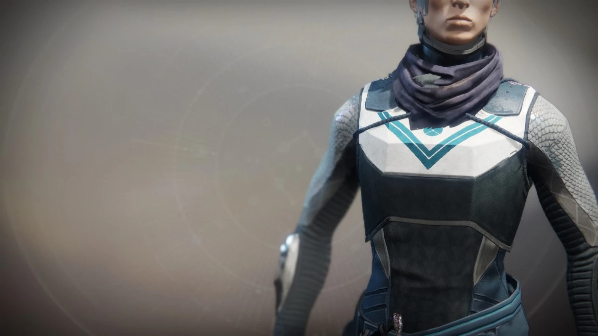 Daring Hunter Vest | Destiny Wiki | Fandom