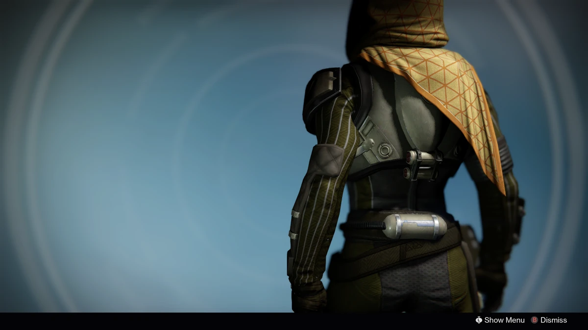 Not A Fallen Hood (Common) | Destiny Wiki | Fandom