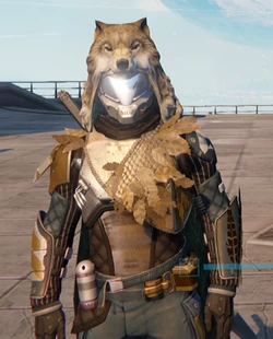 Destiny Hunter Wolf Armor