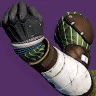 Bog Wild 1.0 (Gauntlets) | Destiny Wiki | Fandom