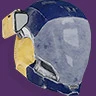 Simulator Helm | Destiny Wiki | Fandom
