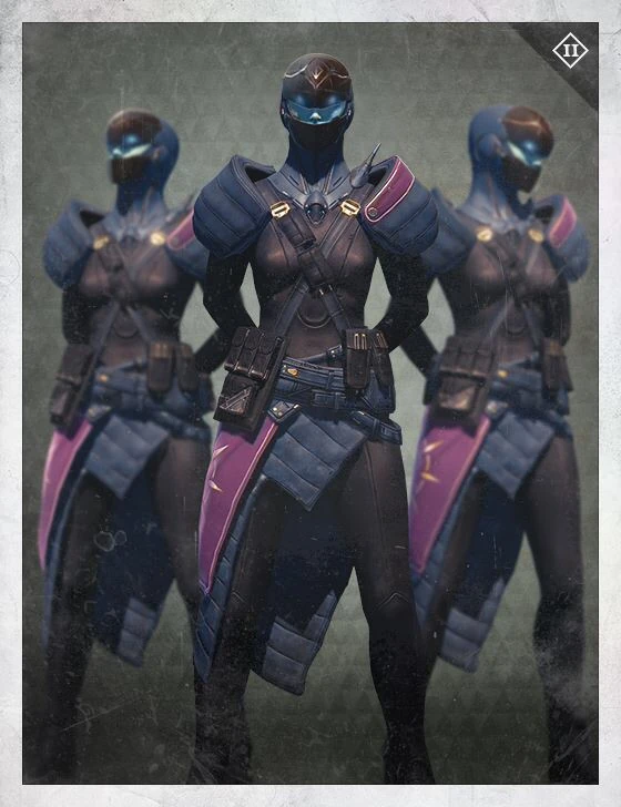 The Royal Awoken Guard | Destiny Wiki | Fandom