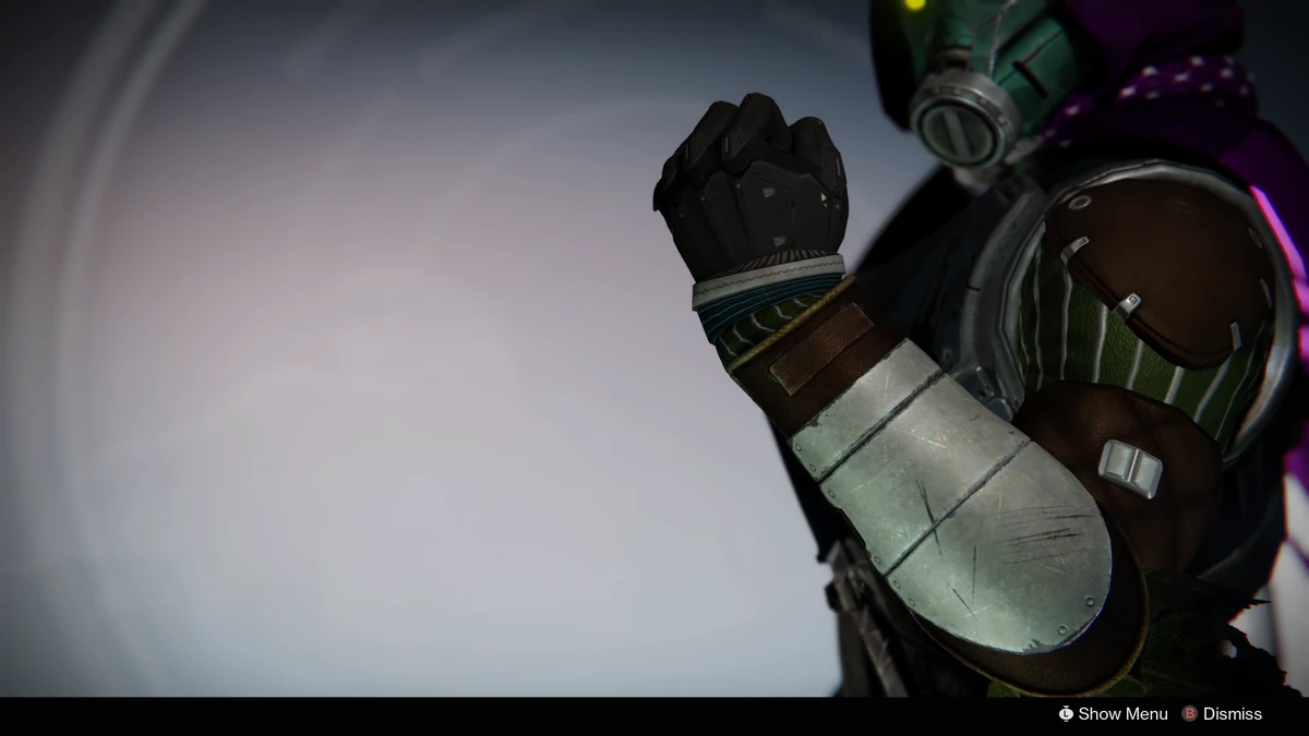 Bog Wild 1.0 (Gauntlets) | Destiny Wiki | Fandom