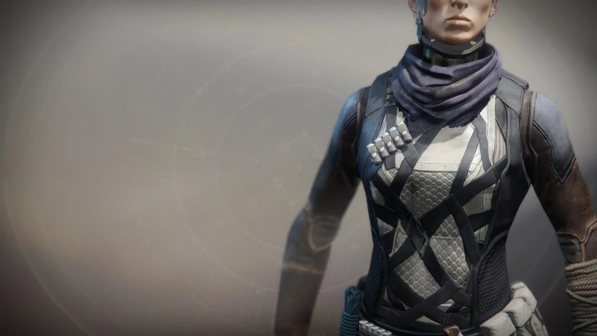Category:Destiny 2 Rare Hunter Chest Armor | Destiny Wiki | Fandom