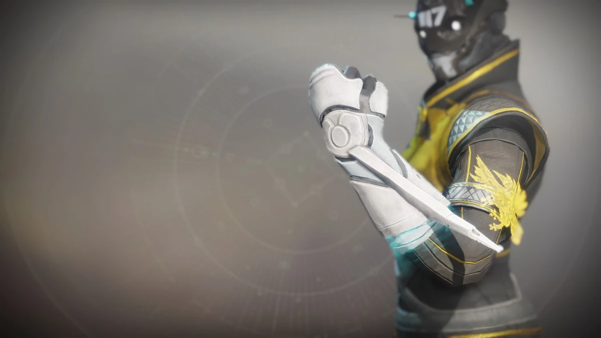 Focusing Wraps | Destiny Wiki | Fandom