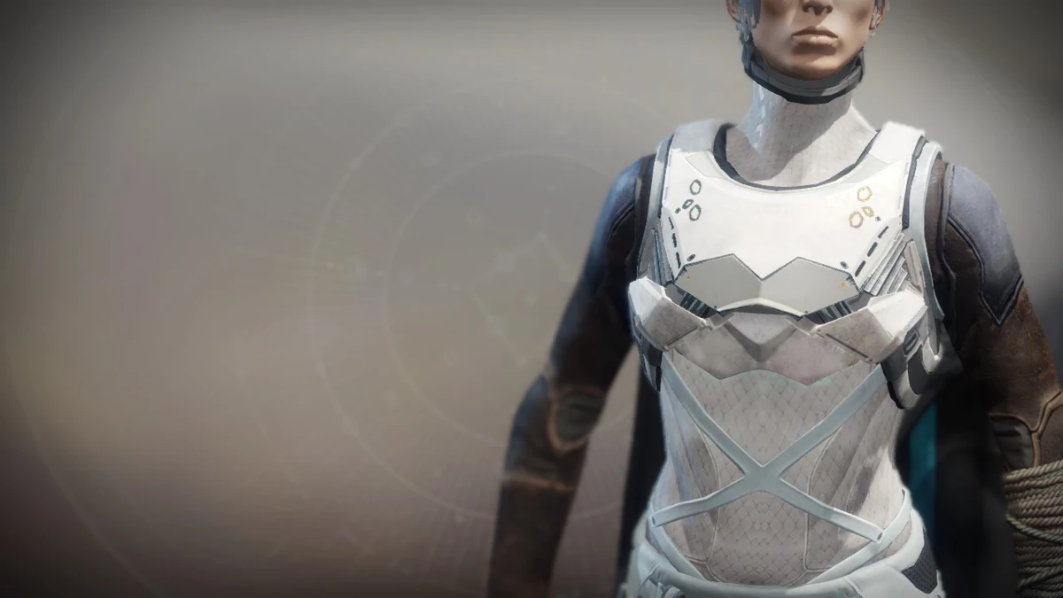 Floating Vest | Destiny Wiki | Fandom