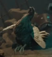 The Colonel | Destiny Wiki | Fandom