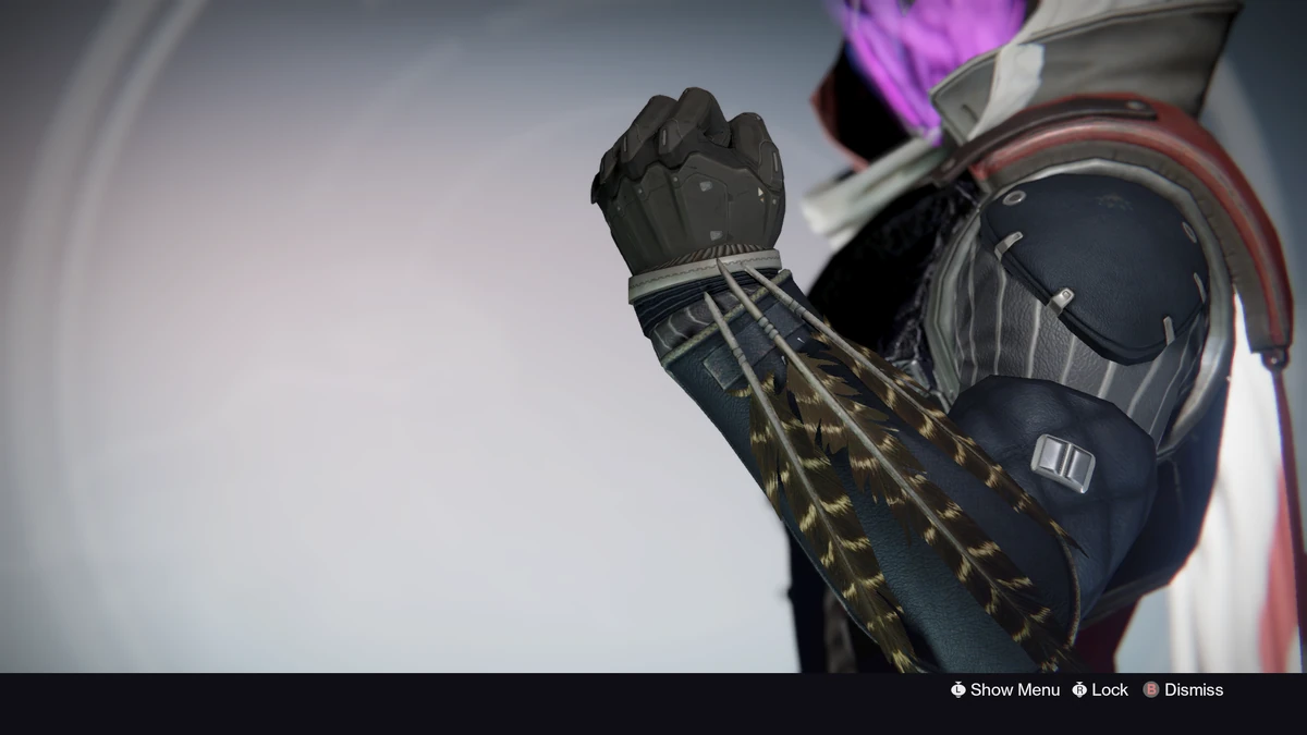 Category:Destiny Legendary Hunter Gauntlets | Destiny Wiki | Fandom