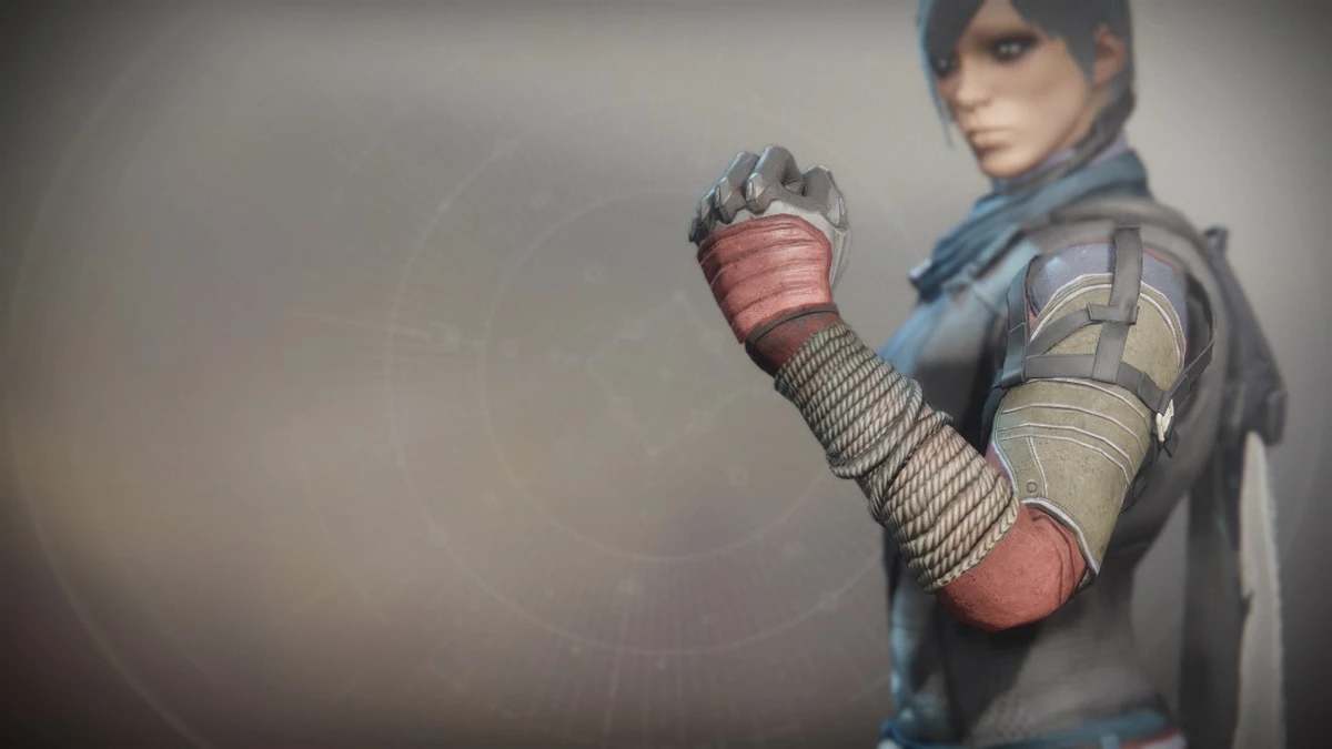 Kit Fox 2.1 | Destiny Wiki | Fandom