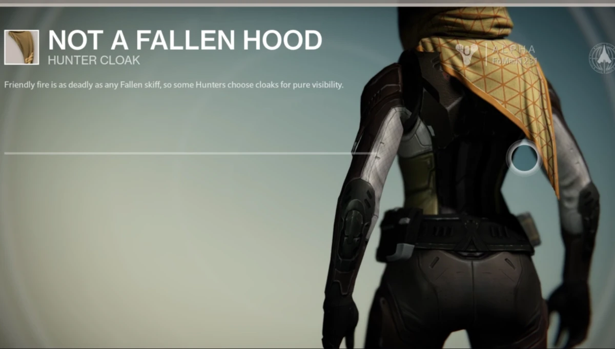Not a Fallen Hood | Destiny Wiki | Fandom