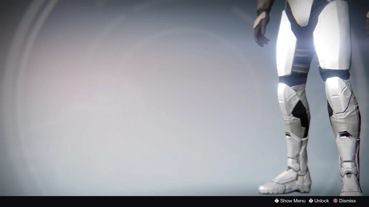 Racing Legs | Destiny Wiki | Fandom