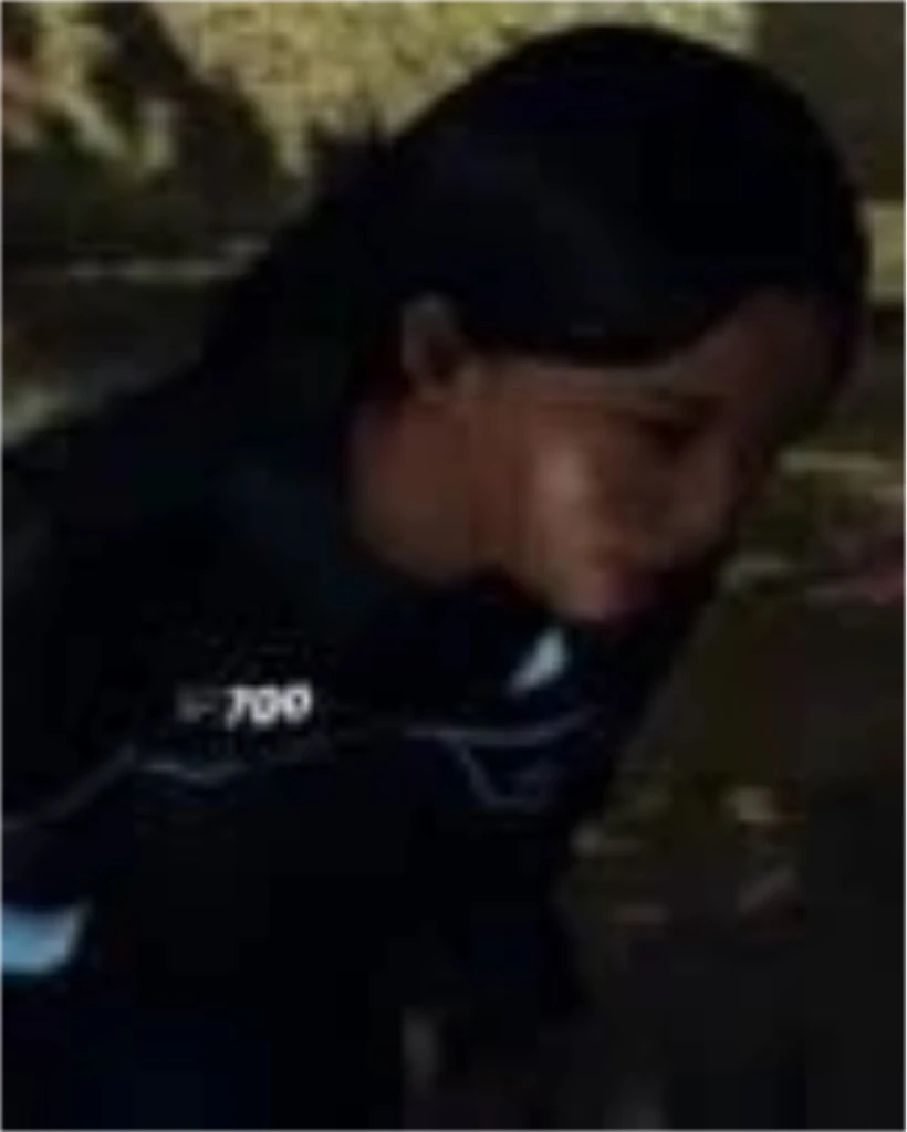 Rose (android) | Detroit: Become Human Wiki | Fandom