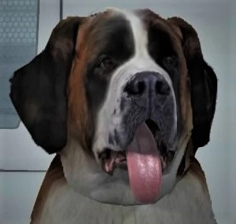 Sumo | Detroit: Become Human Wiki | Fandom