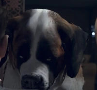 Sumo - Detroit: Become Human Wiki