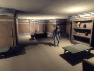 JC Denton's Sanctuary | Deus Ex Wiki | Fandom
