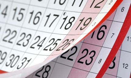 Server Resets | DeVco Wiki | Fandom