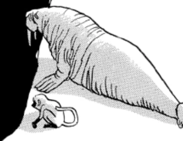 Unnamed Walrus Demon | Devilman Wiki | Fandom