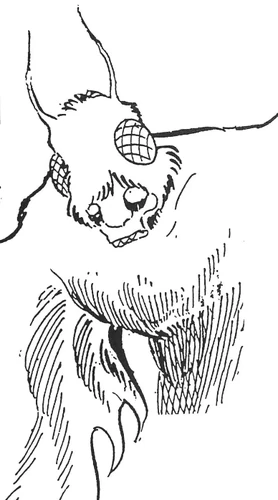 Valum | Devilman Wiki | Fandom