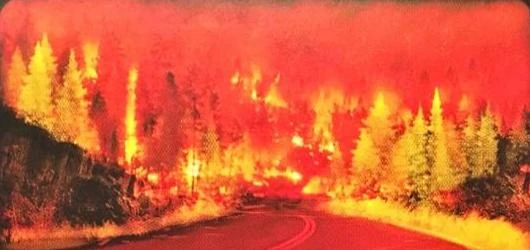 DR267 Scrub Fire | Devil's Run: Route 666 Wiki | Fandom