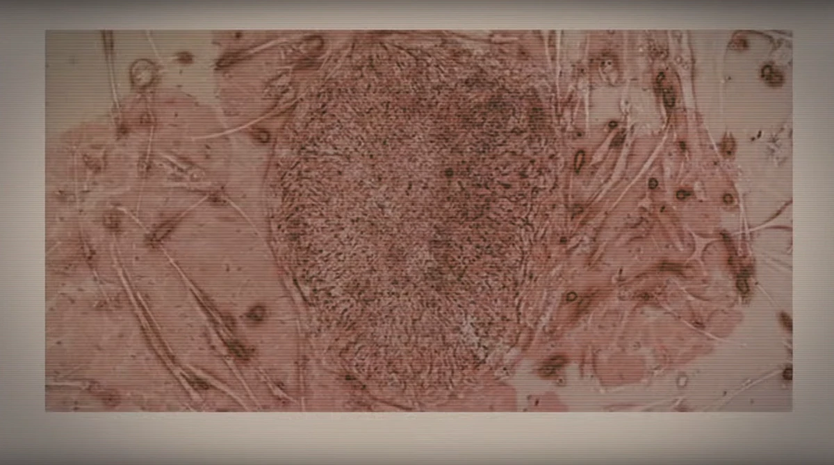 Chimera Virus | Devil's Third Wiki | Fandom