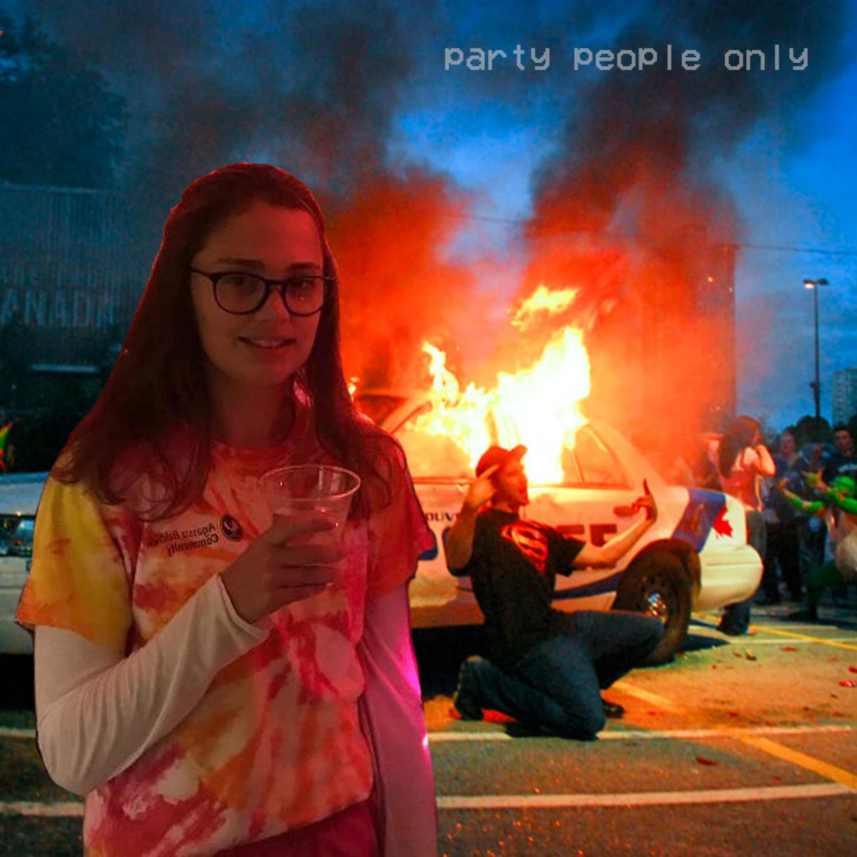 No Response | Dev Lemons Wiki | Fandom