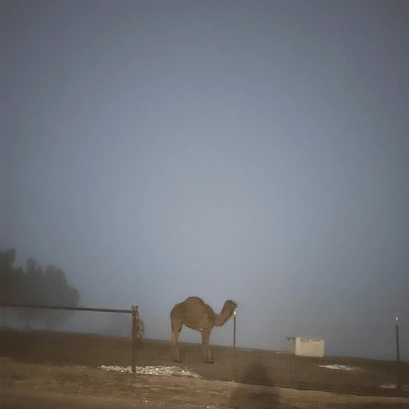 The Sun or The Rain | Dev Lemons Wiki | Fandom