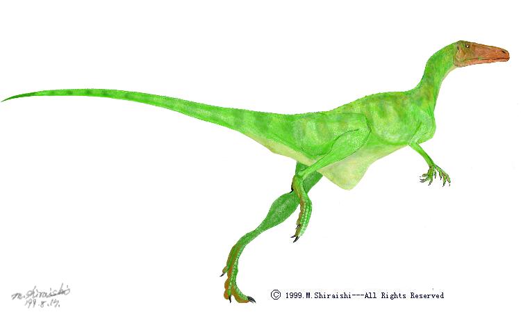 Staurikosaurus Devon Dink Dino Wiki Fandom