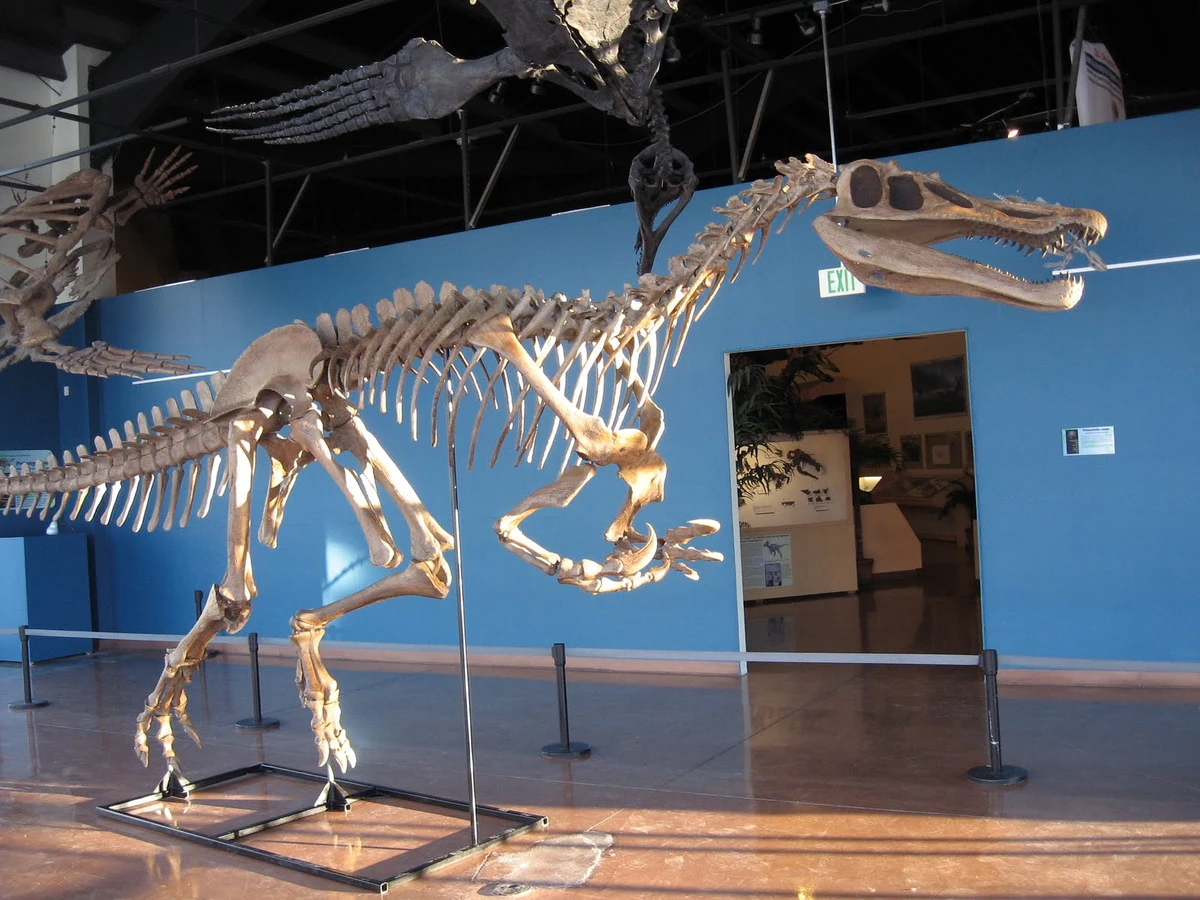 Baryonyx | Devon dink dino Wiki | Fandom