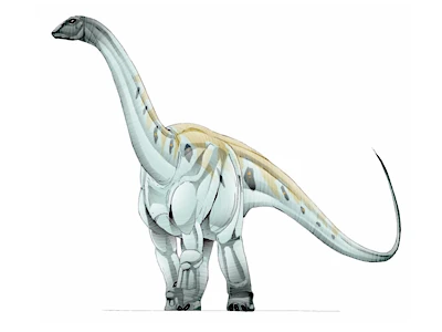 Andesaurus | Devon dink dino Wiki | Fandom