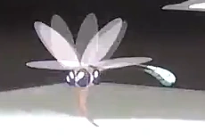 Time Flies | Dex Hamilton:Alien Entomologist Wiki | Fandom