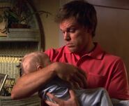 Harrison Morgan/Dexter | Dexter Wiki | Fandom