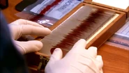 Blood Slide Boxes | Dexter Wiki | Fandom