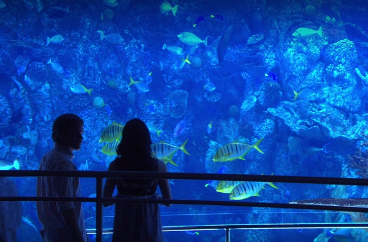 Miami Aquarium | Dexter Wiki | Fandom