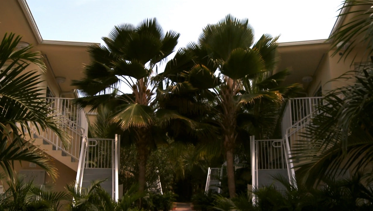 Debra's Apartments | Dexter Wiki | Fandom