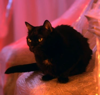 Mr. Tinker | Dexter Wiki | Fandom