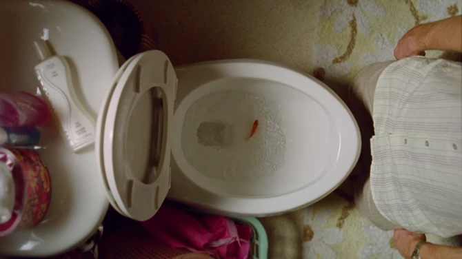 Bob the Goldfish | Dexter Wiki | Fandom