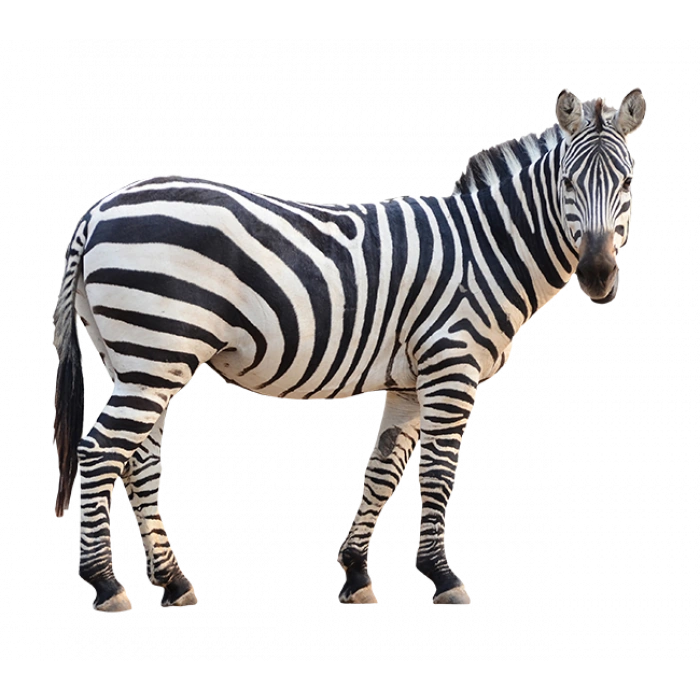 Alex | Dexters Laboratory The Movie 2025 Wiki | Fandom