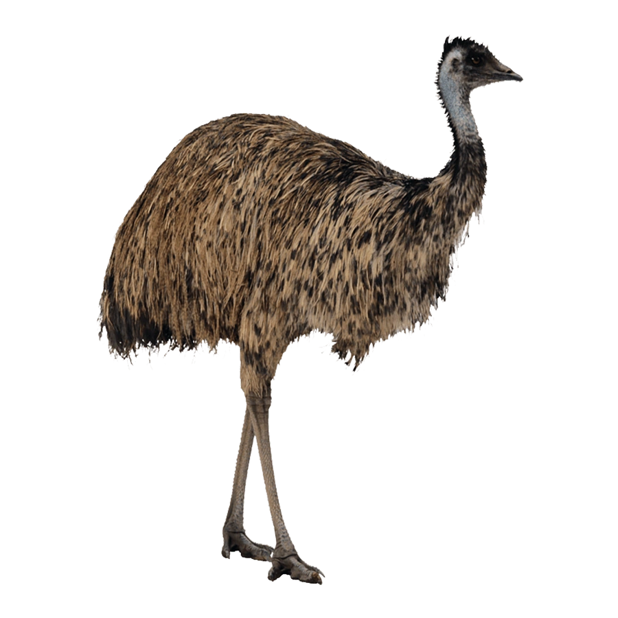 Wallers | Dexters Laboratory The Movie 2025 Wiki | Fandom