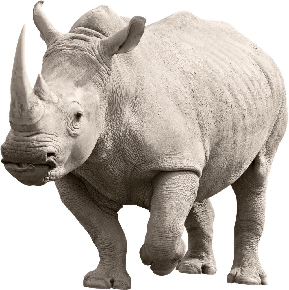 Lincoln | Dexters Laboratory The Movie 2025 Wiki | Fandom