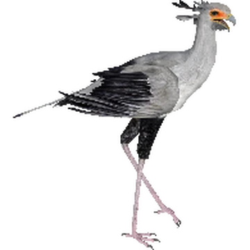 Dora | Dexters Laboratory The Movie 2025 Wiki | Fandom