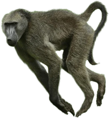 Robble | Dexters Laboratory The Movie 2025 Wiki | Fandom