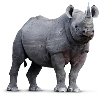 Becky | Dexters Laboratory The Movie 2025 Wiki | Fandom