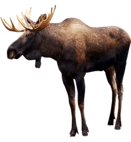 Tyler | Dexters Laboratory The Movie 2025 Wiki | Fandom