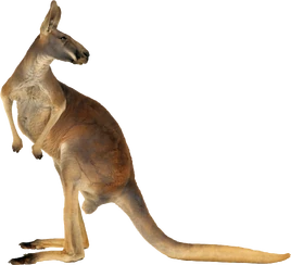 Daniel | Dexters Laboratory The Movie 2025 Wiki | Fandom